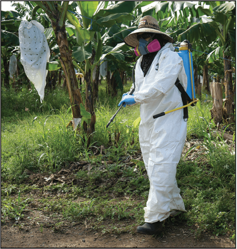 Depression among Migratory and Seasonal Agricultural Workers: Does ...